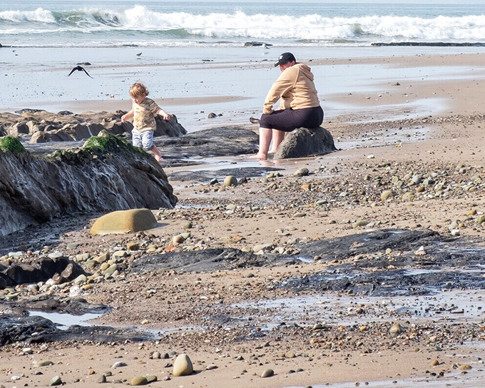 Nature's tidepooling classroom where kids become marine biologists for the day. The real education happens when you slow down enough to notice life's smaller wonders.