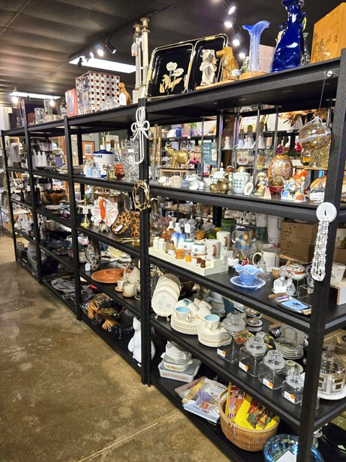 Shelves stacked with memories waiting to be adopted. One person's forgotten china is another's dinner party conversation starter.