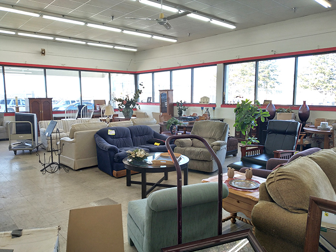 This furniture showroom looks like someone's living room exploded in the most delightful way, offering comfort at incredible prices.