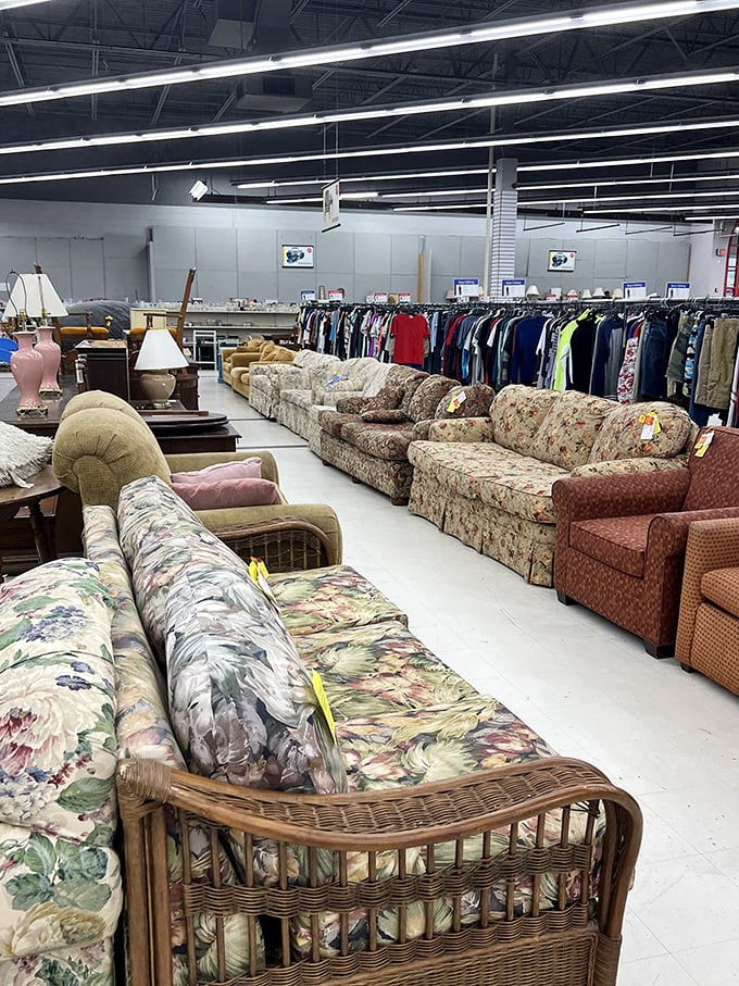 A lineup of couches that could outfit every sitcom living room from the last three decades.