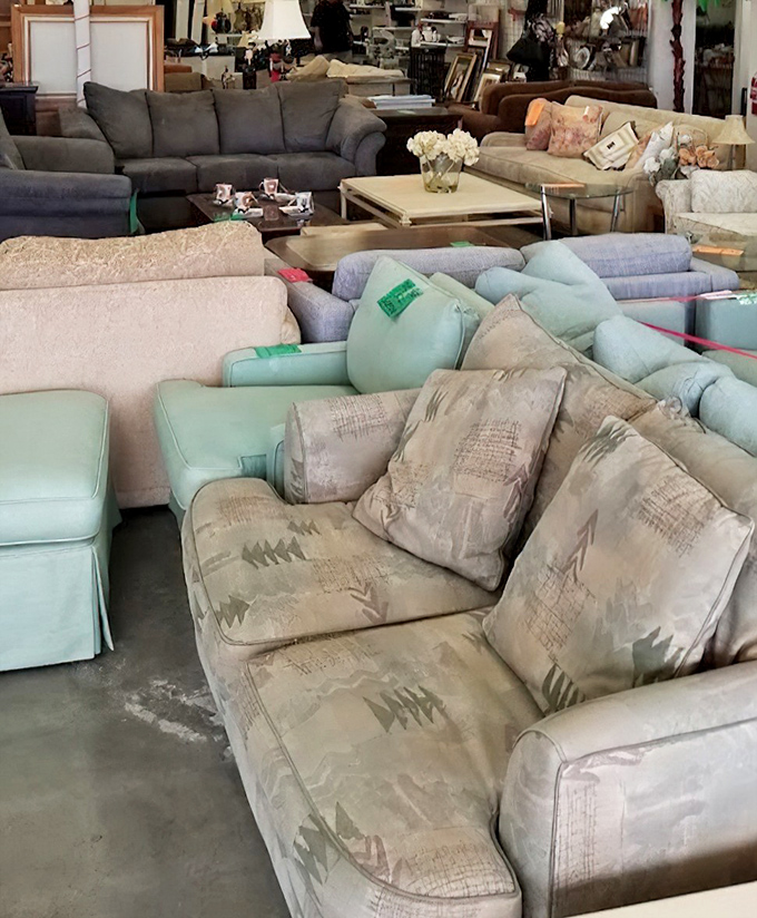 The sofa section resembles a living room convention, where mid-century meets Southwest, and every couch has a story it's dying to tell you.