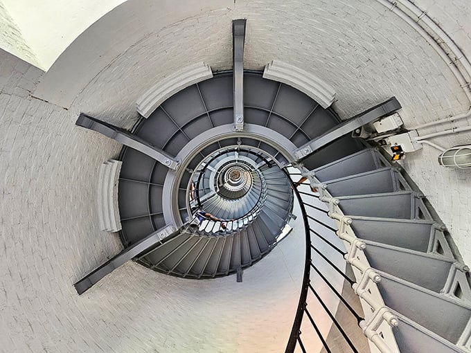 The spiral staircase winds upward like a nautical DNA strand, each step a time machine back to when "climbing to the cloud" wasn't a tech term.