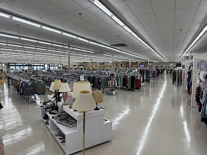 The organization here would make Marie Kondo weep with joy. Every item has its place in this meticulously arranged secondhand paradise.