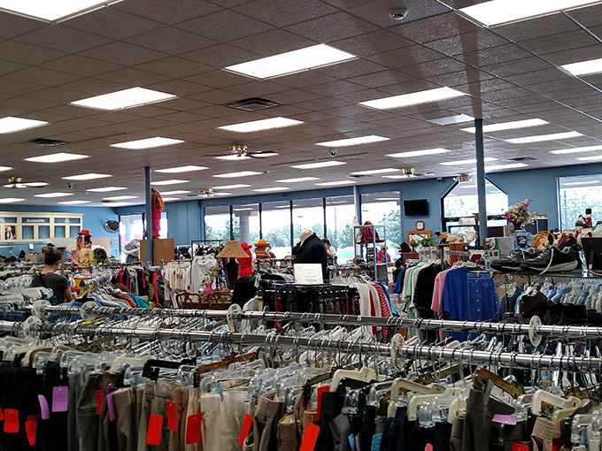 The thrifter's equivalent of the Sistine Chapel ceiling—look up and behold the fluorescent-lit glory of organized secondhand abundance.