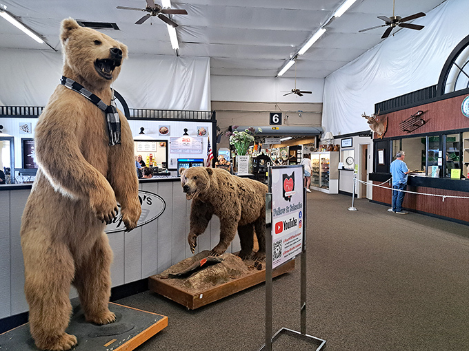Where taxidermy meets Americana! These impressive bears greet visitors, standing guard over decades of collected memories and curiosities.