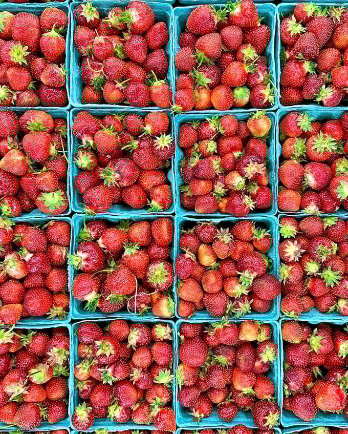 Nature's candy display! These strawberries are so vibrant they make supermarket produce look like it's in witness protection.