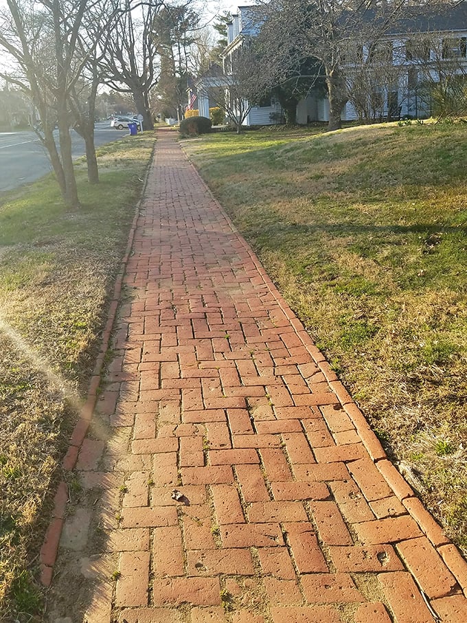 Cantwell's Tavern, housed in a magnificent 1822 brick building, serves as both a culinary destination and the social heart of Odessa.