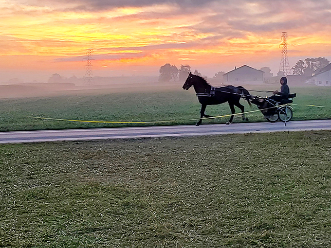 Nature's light show doesn't require tickets. A horse and buggy silhouetted against a Pennsylvania sunrise&mdash;better than any Netflix special.