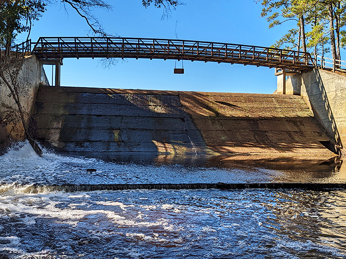 Engineering meets artistry at the park's dam. Water cascading down concrete creates nature's most soothing white noise machine.