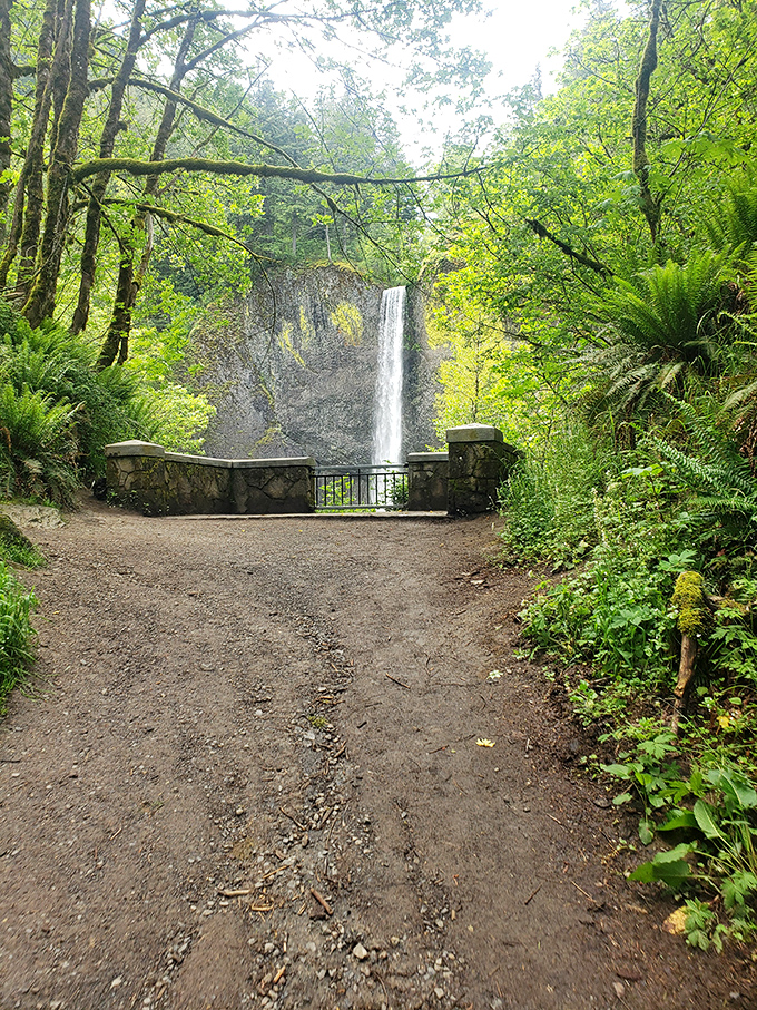 Nature's observation deck, perfectly positioned for waterfall viewing. Like front-row seats to Earth's greatest show, minus the ticket price.