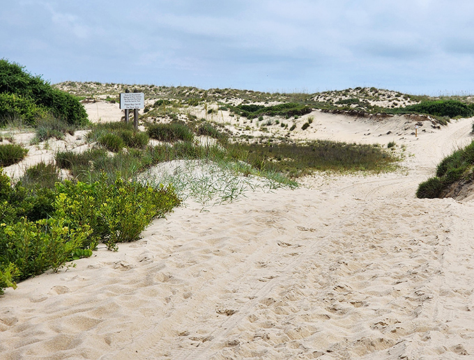 Nature's own labyrinth of dunes and vegetation. Follow the sandy path and discover what lies beyond the next windswept hill.