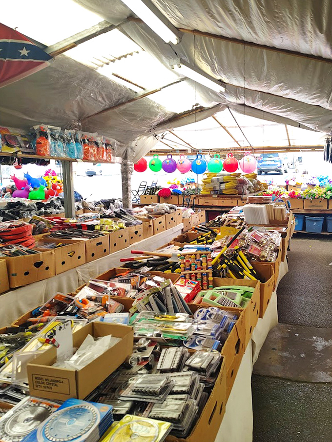 Tools and hardware galore, because nothing says "weekend warrior" like buying a wrench you'll definitely use someday.