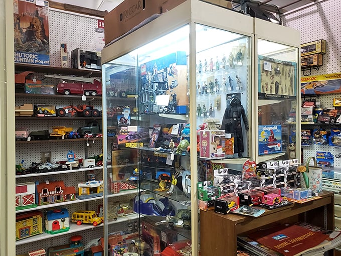 Star Wars meets childhood memories in this collector's paradise. Darth Vader stands guard over decades of playthings waiting for their next adventure.