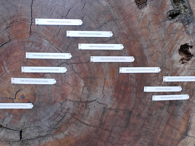 History's timeline etched in concentric circles. Each ring tells a story of California before it was California&mdash;some dating back to Charlemagne's reign.