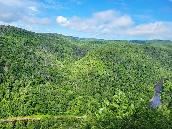 Fifty shades of green blanket the gorge in summer, creating a verdant paradise that makes you forget cities exist.