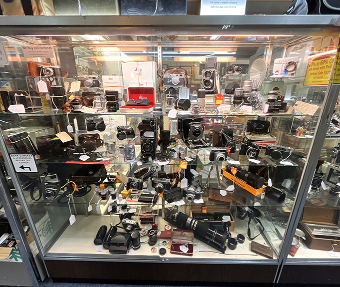 Not just cameras but time machines in glass cases. Each viewfinder once framed someone's wedding, vacation, or baby's first steps.
