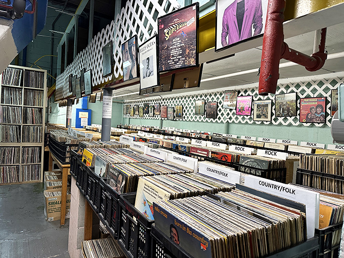 Vinyl heaven awaits music lovers with meticulously organized albums. That "Country/Folk" section has seen me lose entire afternoons.