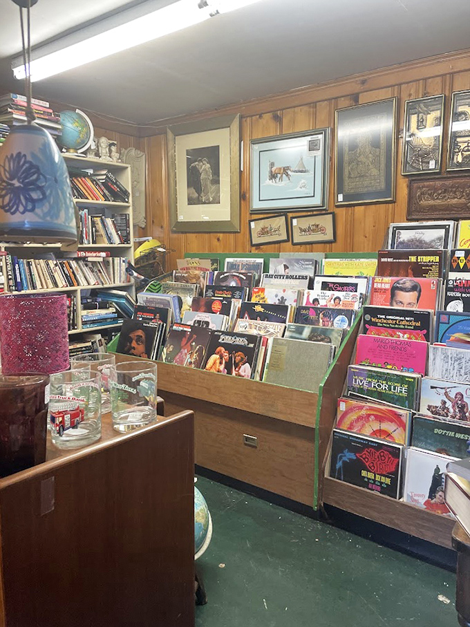 Vinyl heaven awaits music lovers! Each album cover tells two stories - one in the grooves and another in the art that wrapped it.