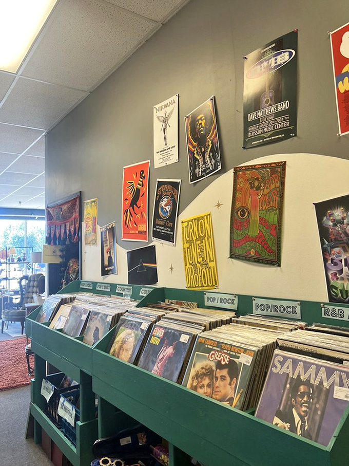 Vinyl heaven for music lovers! Those Dave Matthews and Nirvana posters take me back faster than a DeLorean at 88 mph.