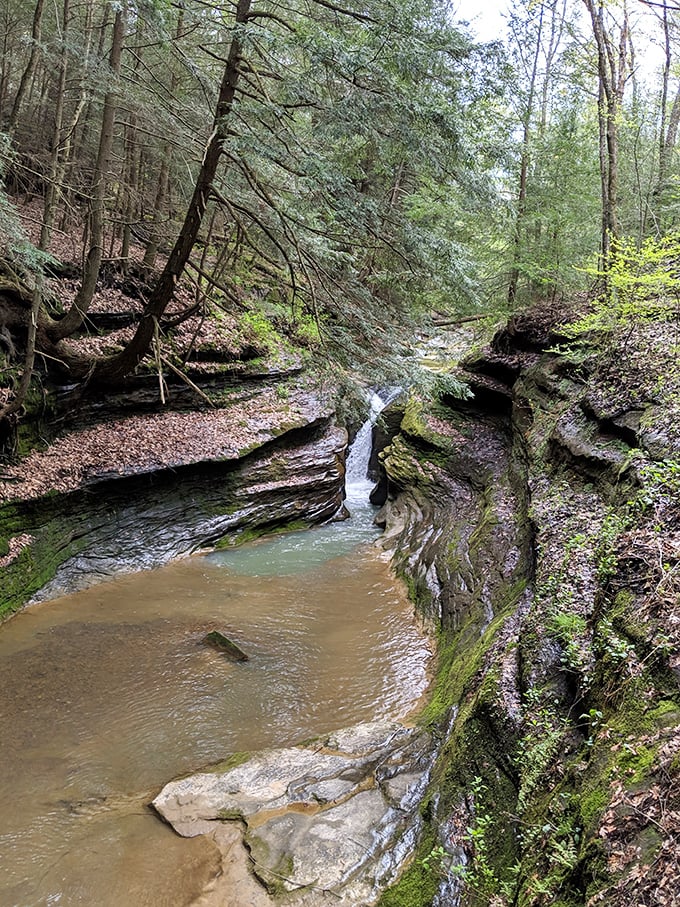 Water and time &ndash; the world's most patient sculptors. This gentle cascade has spent millennia carving its path through the rock, creating a scene worth every step of your hike.
