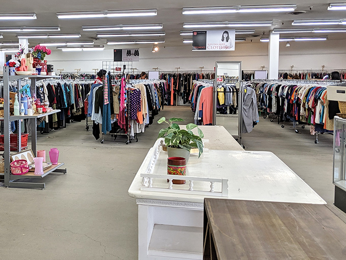 Racks upon racks of carefully organized clothing create a textile rainbow, with a potted plant adding a homey touch to this bargain wonderland.