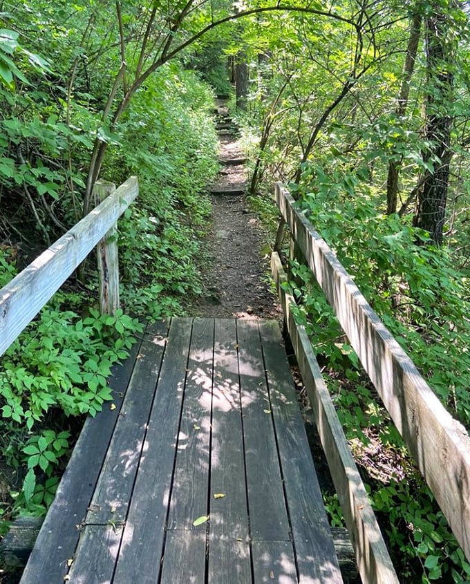 This wooden bridge isn't just crossing a ravine&mdash;it's inviting you into a Midwest version of Narnia, complete with dappled sunlight and whispers of adventure.