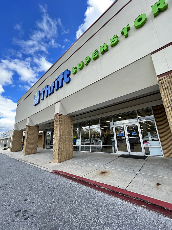 The "Superstore" name isn't just marketing fluff - this place delivers on its promise with warehouse-sized shopping adventures.