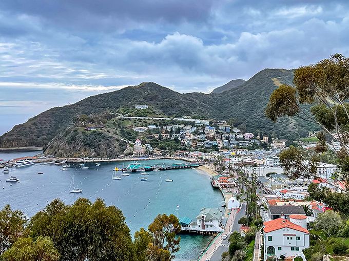 Avalon's harbor sparkles like a jewel box - boats bobbing like toys in nature's perfect bathtub. 