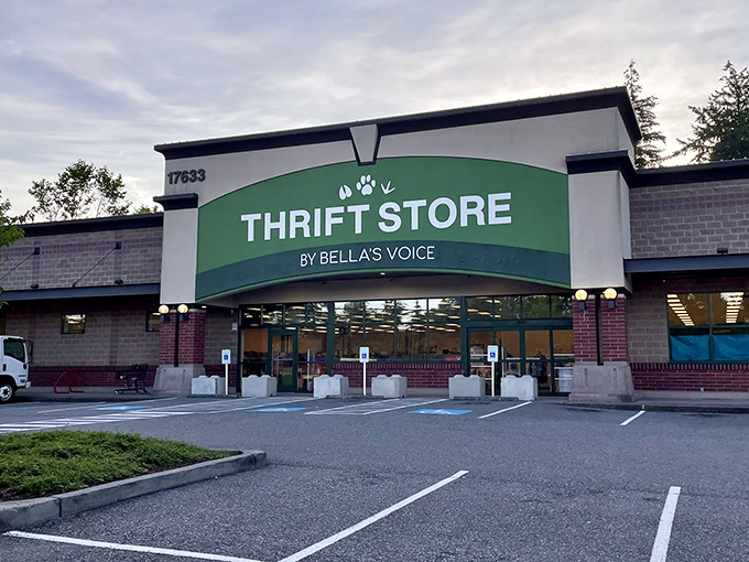 Bella's Voice speaks volumes with its clean, modern storefront. Even the paw print in their logo hints at treasures with a purpose.