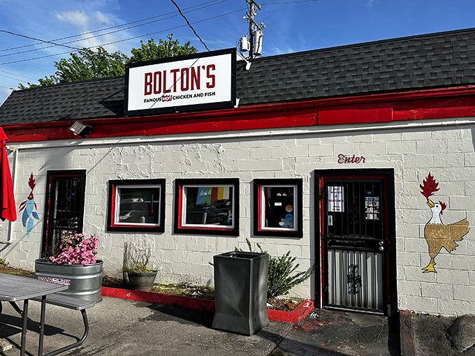 Bolton's unassuming exterior hides spice levels that could power a small city. The chicken art on the wall is your first warning!