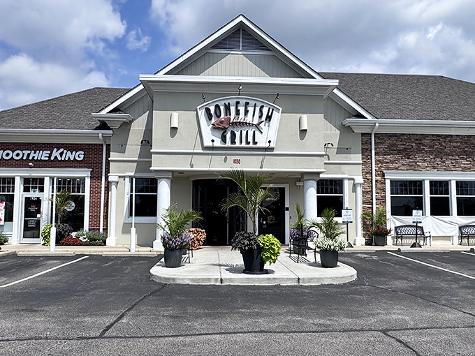 Bonefish Grill's elegant stone facade belies the casual warmth inside. Like that friend who dresses fancy but still loves a good laugh.