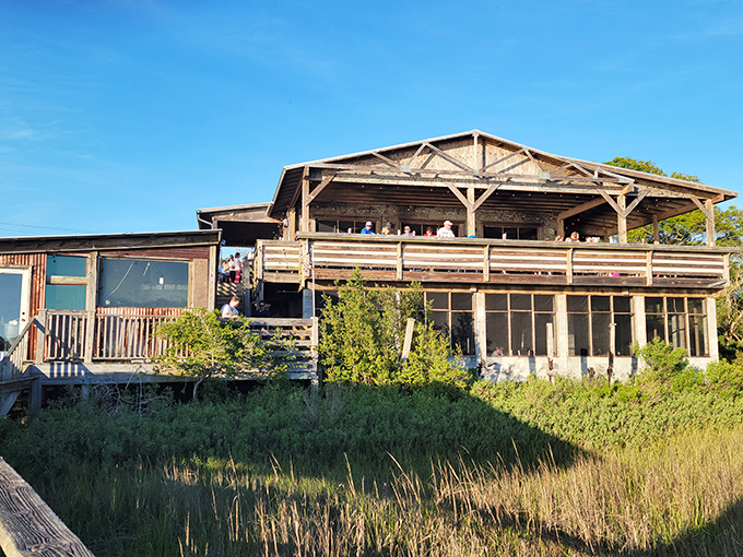 This weathered beauty sits on stilts like a wise old pelican watching over the marsh.