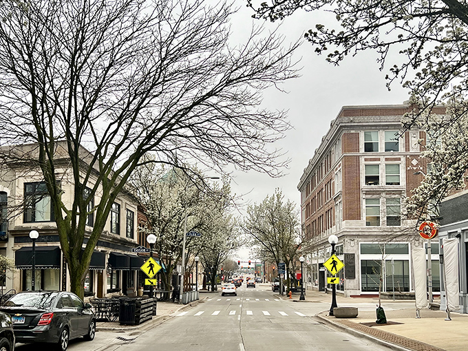 Look at this! A cozy downtown street where coffee aromas mix with blooming trees&mdash;it&rsquo;s like spring decided to throw a block party.