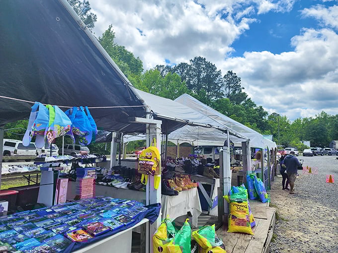 Under the shelter of simple canopies, everyday commerce thrives. These tables hold someone's past and another's future finds.