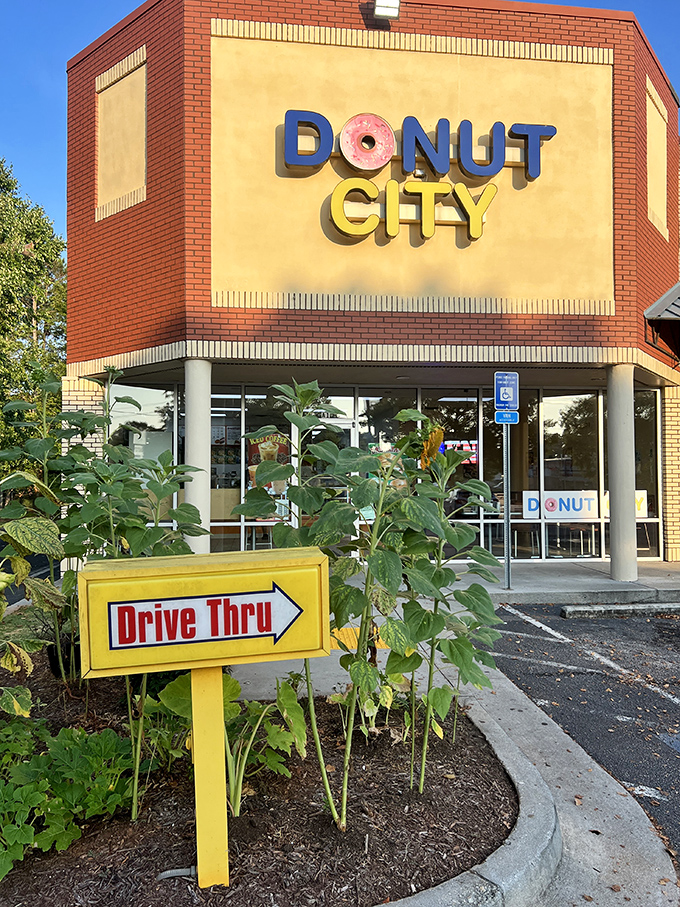 Donut City's classic storefront promises what every strip mall needs - a reliable source of hand-crafted happiness with sprinkles on top.