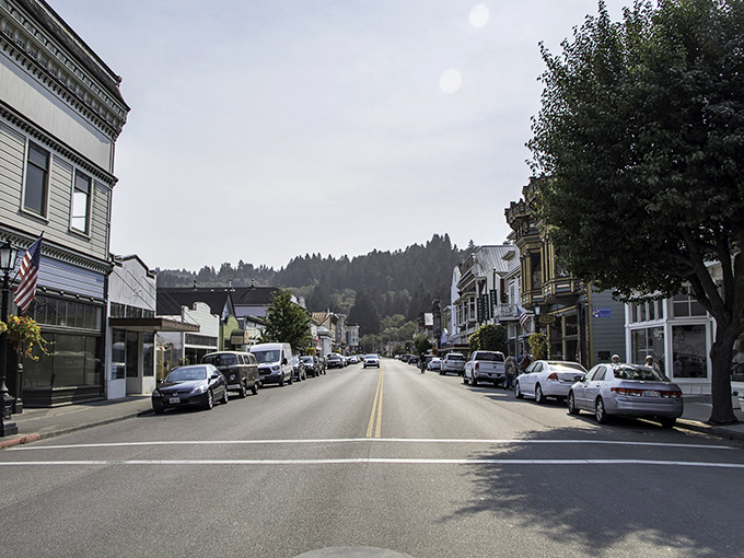 Ferndale's pristine main street showcases white-painted buildings that look like they're waiting for a horse and buggy to trot by.