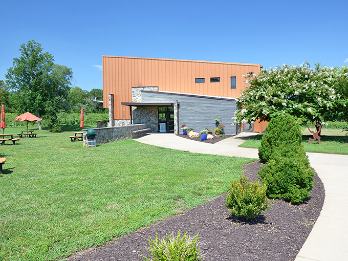 Fifty-Third Winery proves that Virginia can do Tuscany vibes without the passport hassle or confusing euro conversion.