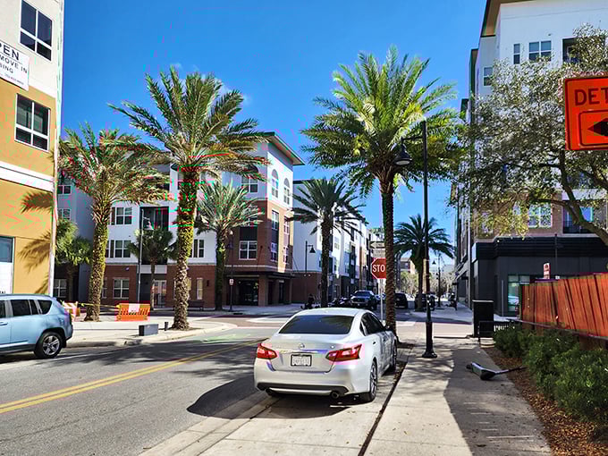 Palm-lined streets create natural shade umbrellas for leisurely strolls through modern comfort.