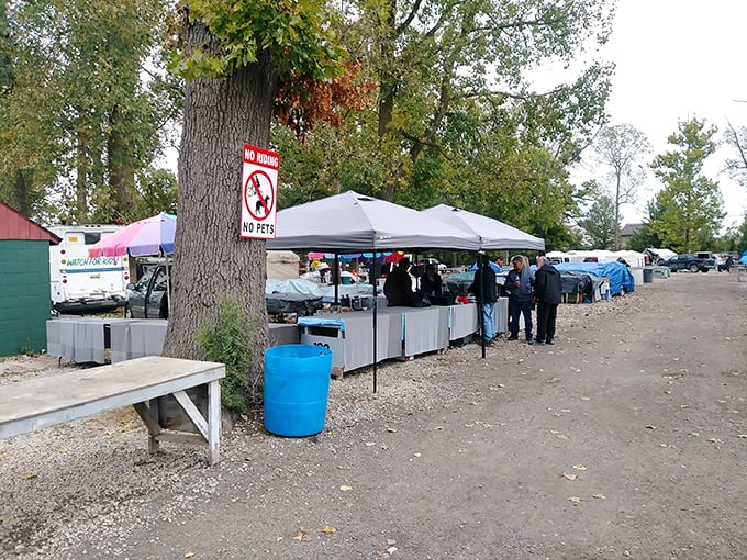 No pets allowed, but plenty of pet projects waiting to be discovered among these outdoor vendor tables.