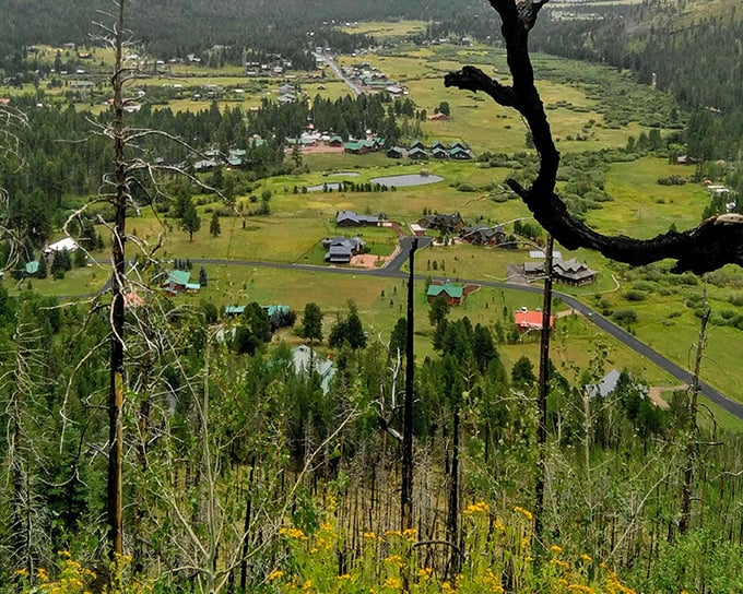 Greer's valley unfolds like nature's own secret garden, hidden high in Arizona's White Mountains.