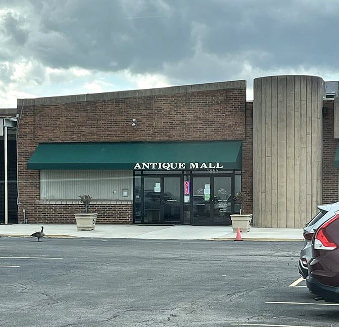 Modern brick meets vintage dreams in this antique hunter's paradise that knows how to make an entrance.