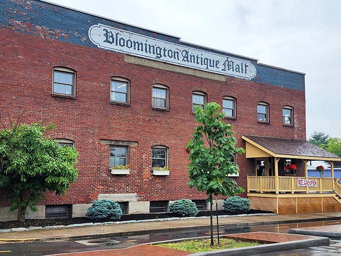 Red brick buildings like this one have been welcoming treasure hunters for generations of happy browsing.