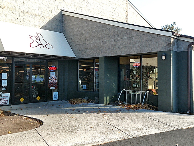 Sometimes the most unassuming buildings hold the greatest treasures - like finding a Stradivarius in your grandmother's attic.