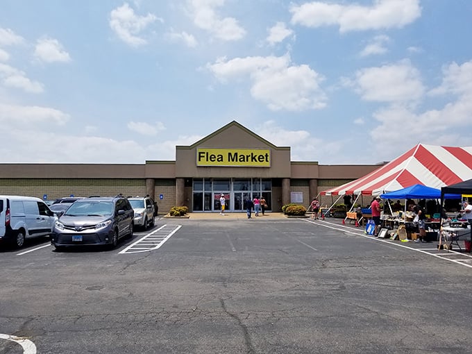 Nothing says "serious shopping ahead" quite like a building that stretches as far as your eyes can see.