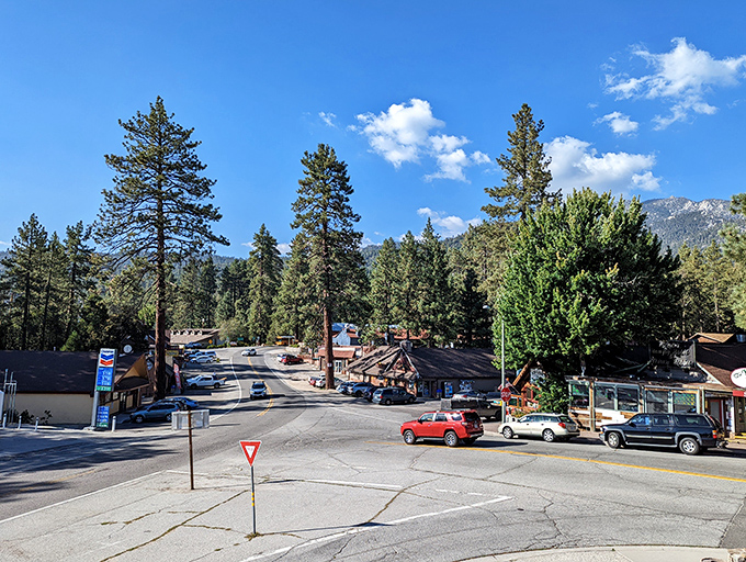 Idyllwild's artistic soul shines through rustic storefronts that house creativity as naturally as pine trees house songbirds.