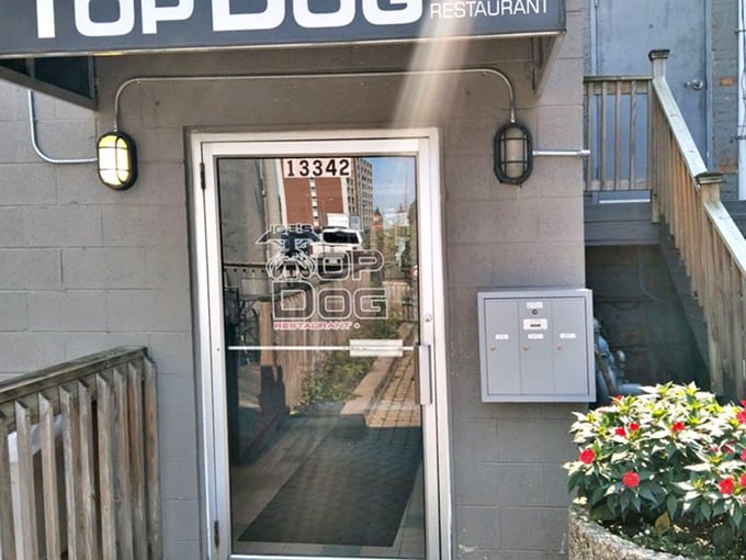 Sometimes the best treasures hide behind the most unassuming doors, waiting to surprise you completely.