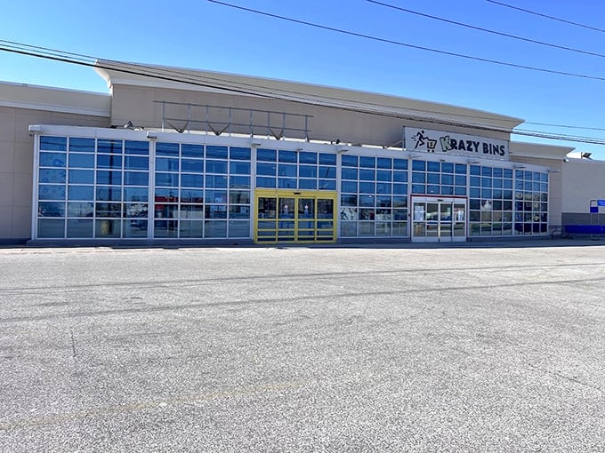 Industrial chic meets bargain hunting in this warehouse wonderland where Friday restocks create shopping magic.