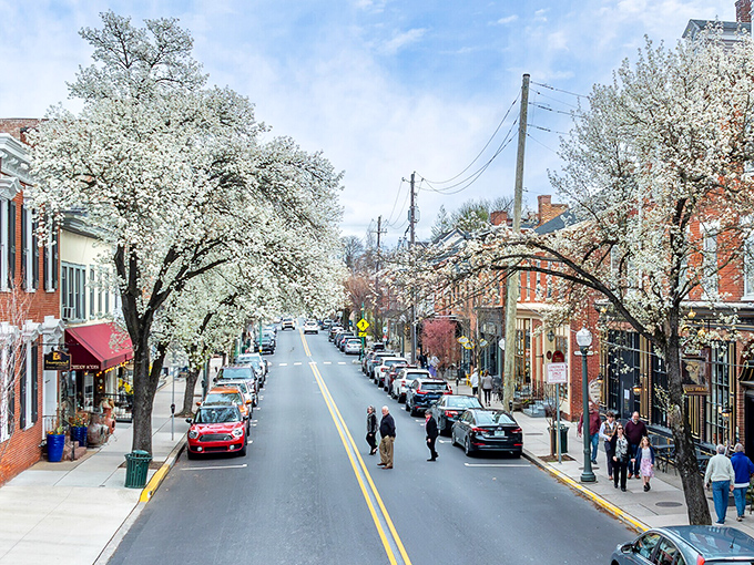 Main Street blooms with the kind of charm that makes city folks question their life choices.