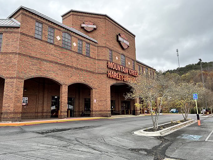 Wide parking lots and mountain views create the perfect backdrop for this North Georgia shopping adventure.