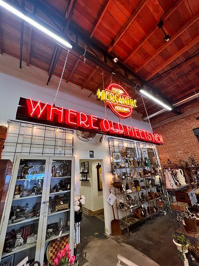 That neon sign glows like a beacon calling all magpies to their shiny destiny inside.